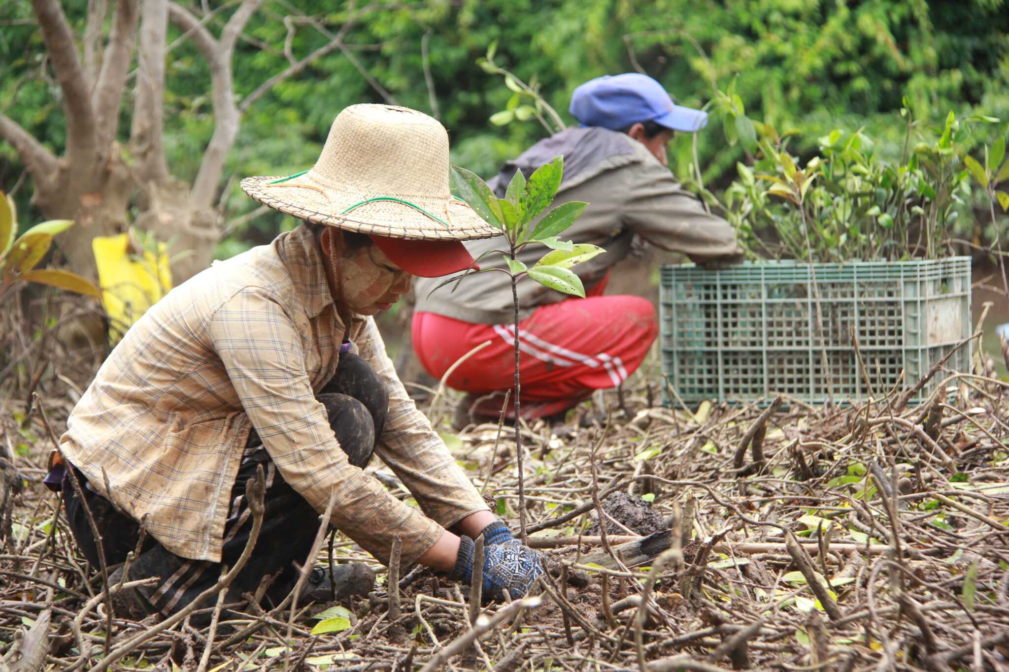 BASIC COURSE (For beginners) – WORLDVIEW