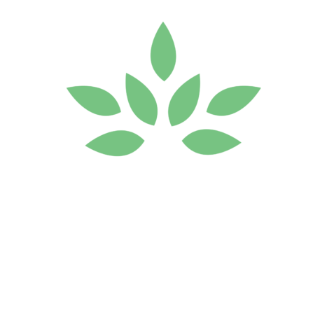 WORLDVIEW – Mangrove Virtual University