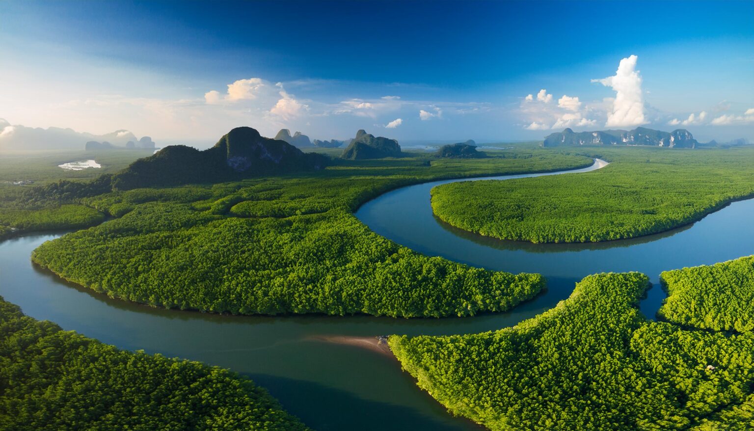 WHERE TO PLANT? – WORLDVIEW