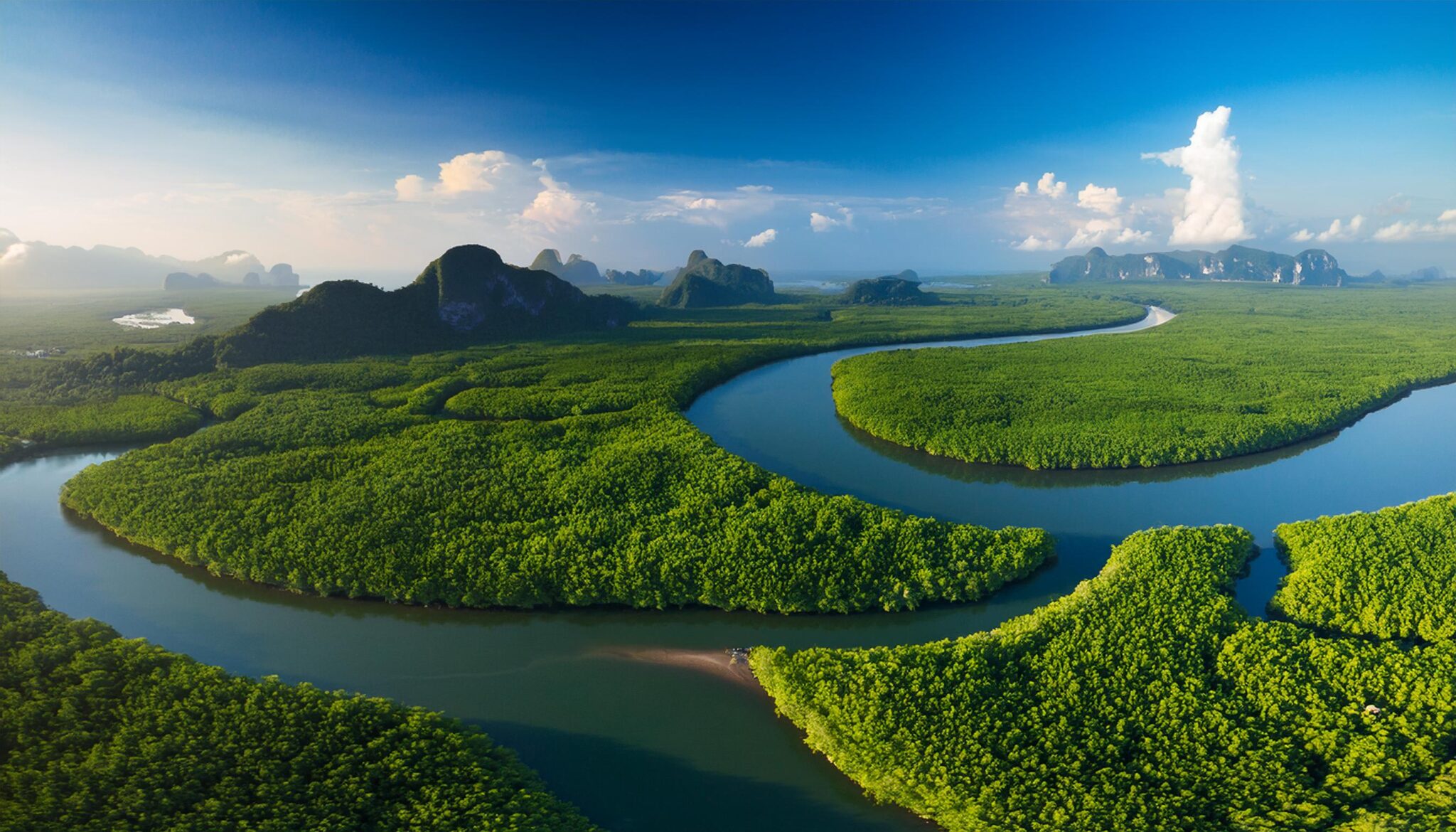 WHERE TO PLANT? – WORLDVIEW