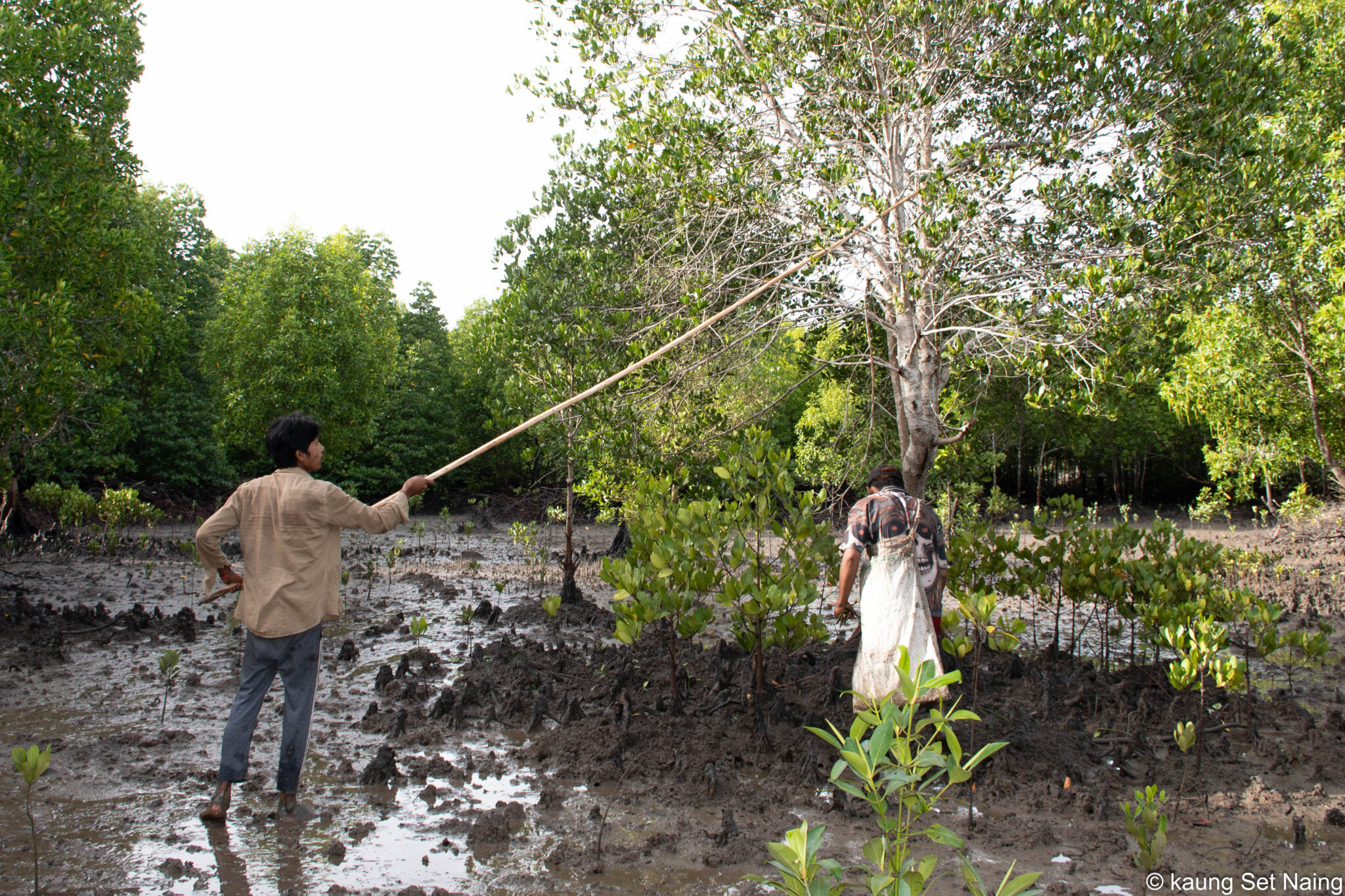 TAKE COURSE – WORLDVIEW