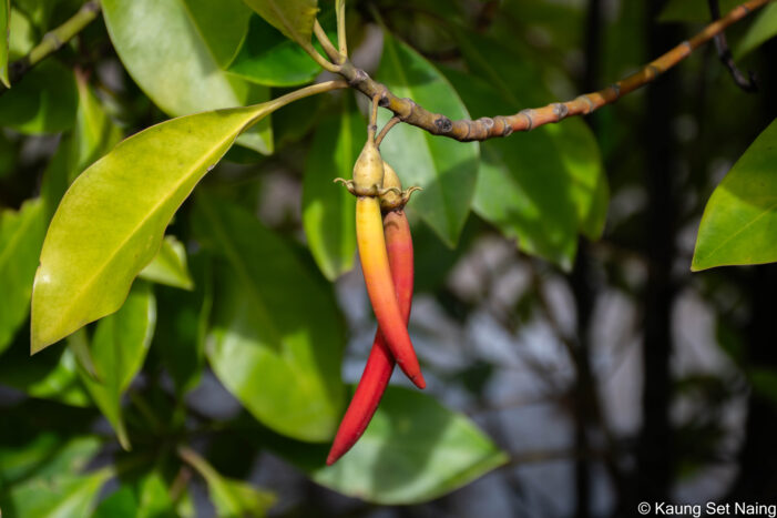 TAKE COURSE – WORLDVIEW